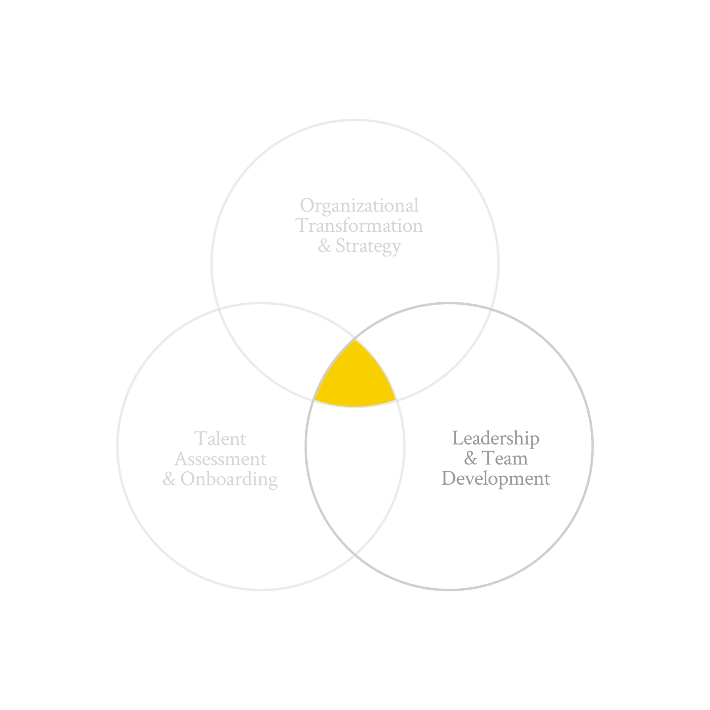 Leadership & Team Development | Humance | Culture & Performance