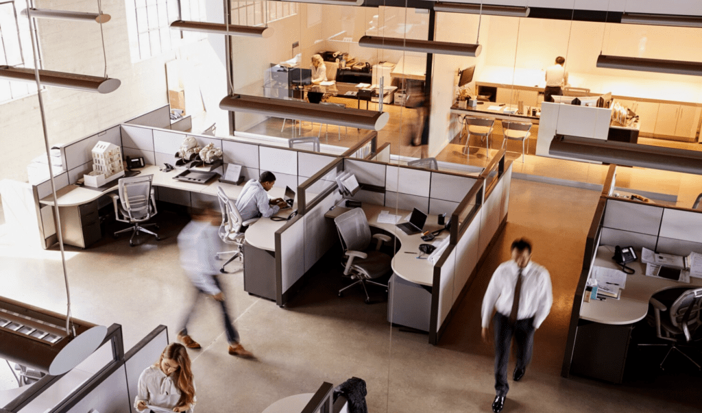 Humance | Culture & Performance