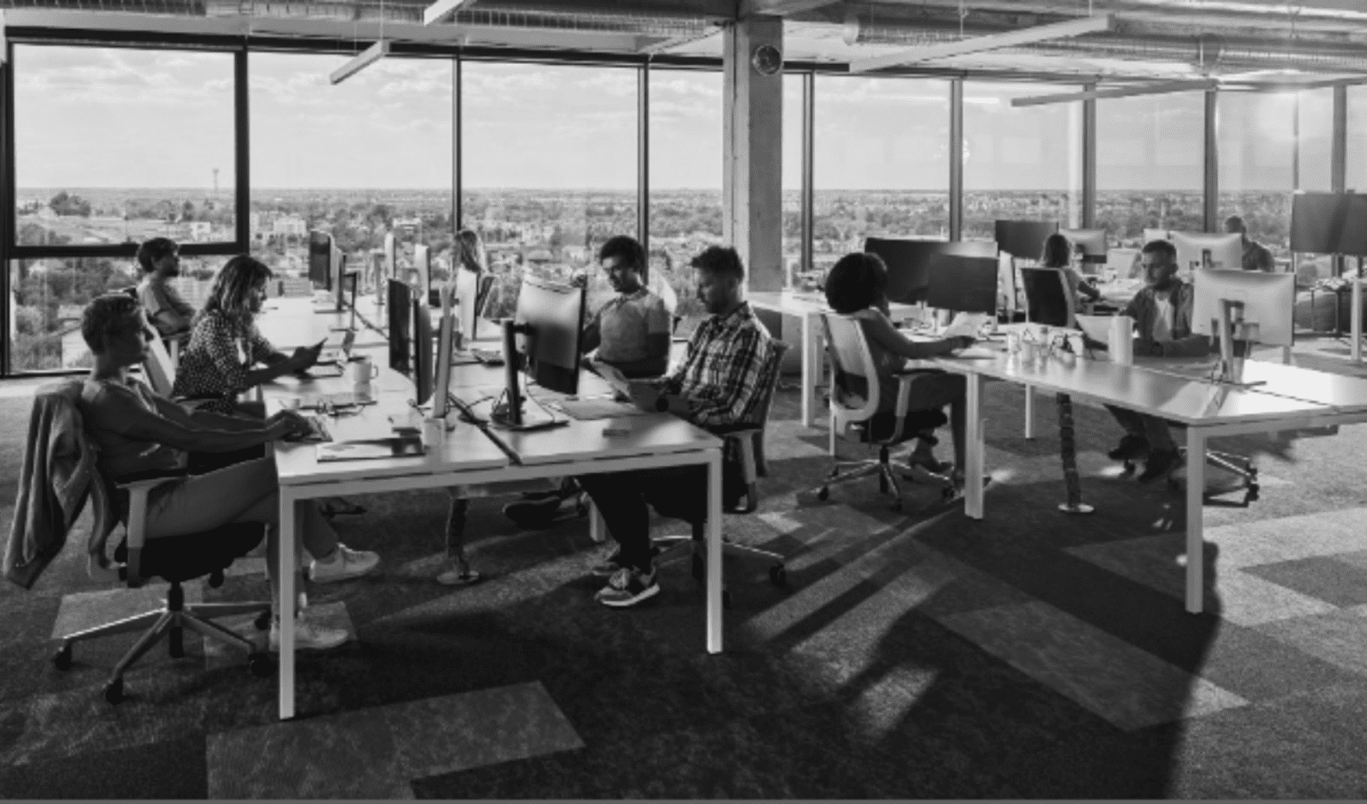 Humance | Culture & Performance